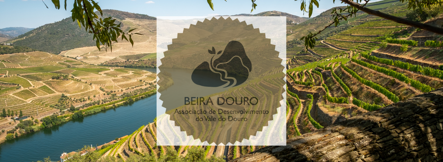 BEIRA DOURO - PEPAC no Continente